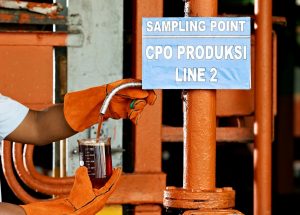 How is palm oil made? - Asian Agri