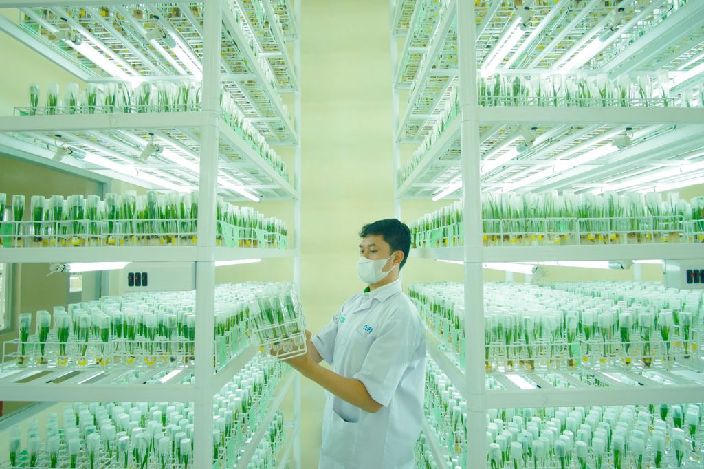 Asian Agri | Leading Palm Oil Producer in Indonesia | Sustainability