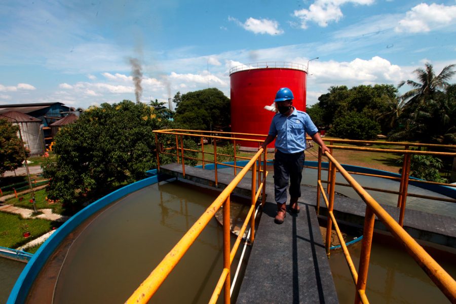 Asian Agri | Leading Palm Oil Producer in Indonesia | Sustainability