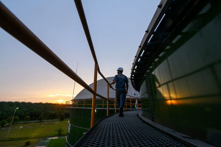 Environmentally Friendly Palm Oil Mills | Palm Oil Mill Process